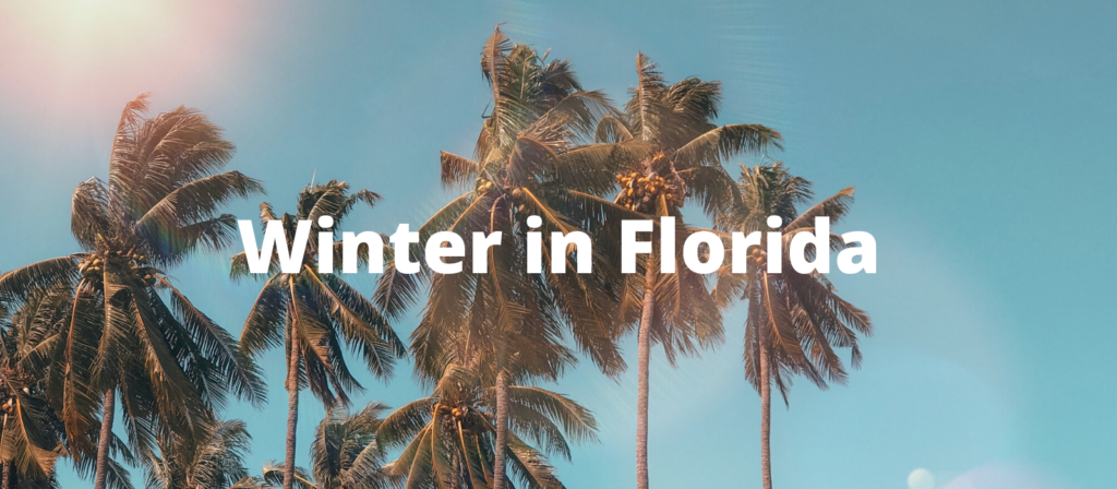 Winter in Florida | Private Jet Charter |Escape the cold